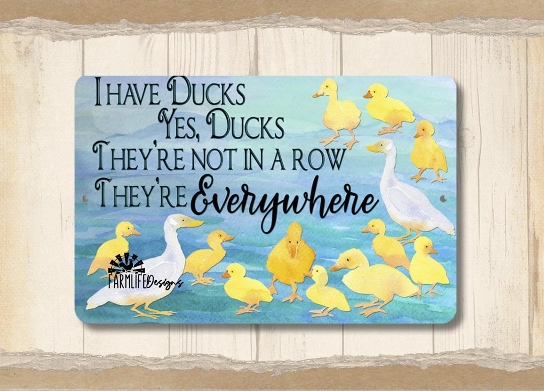 Funny Duck Sign, Ducks Everywhere, Duck Lover Gift, Metal Outdoor Yard ...