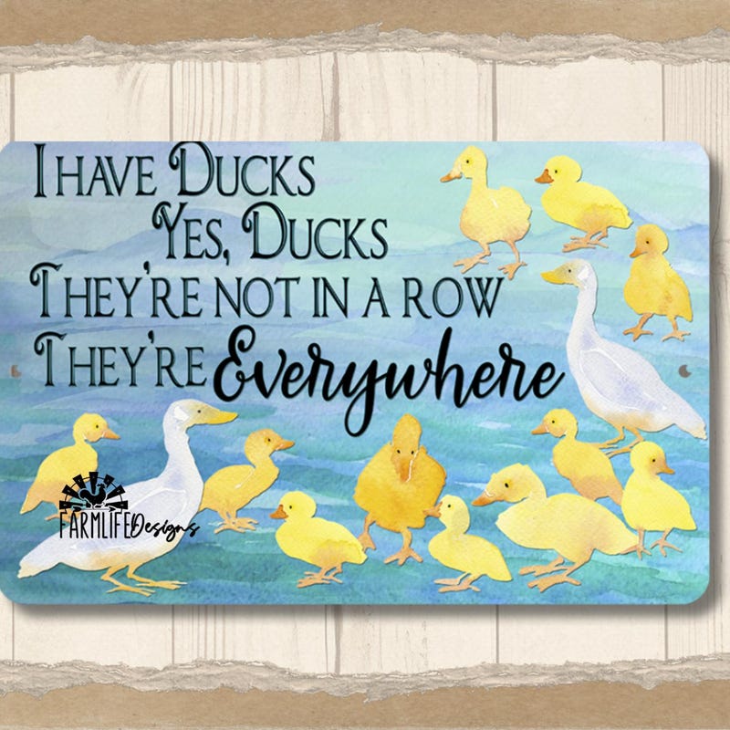 Funny Duck Signs - Etsy