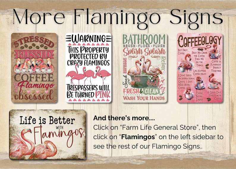 Crazy Flamingo Lady Sign, Flamingo Lover Gift, Pink Flamingo Metal Tin ...