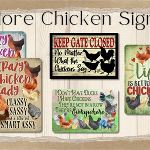 Crazy Chicken Lady Funny Personalized Sign, Gift for Chicken Mom, Metal ...