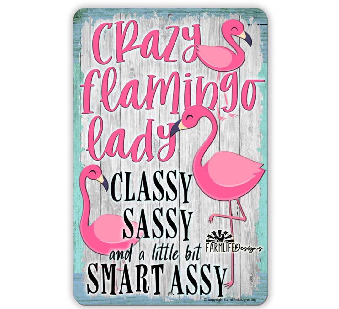 Crazy Flamingo Lady Sign Classy Sassy Smart Assy Metal Aluminum 8x12 ...