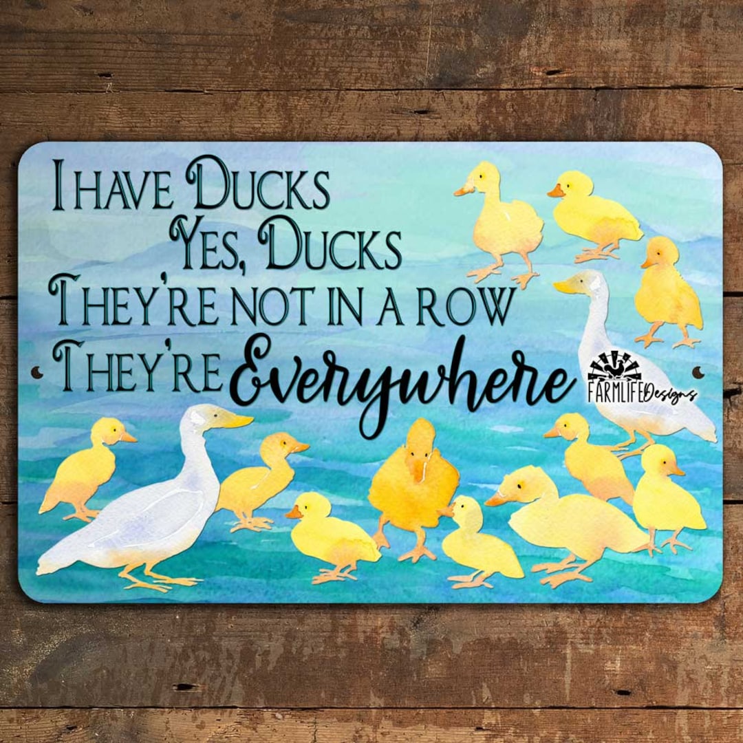 Funny Duck Sign, Ducks Everywhere, Duck Lover Gift, Metal Yard Sign ...
