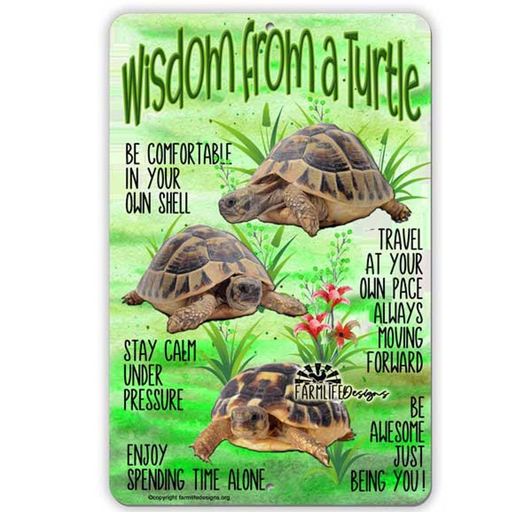 Turtle Sign Wisdom From a Turtle, Good Advice, Brown Turtles, Handmade ...