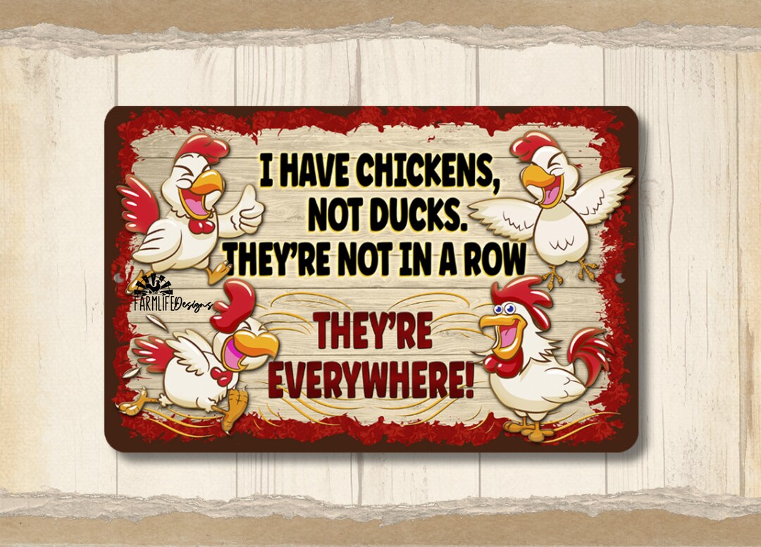 Funny Chicken Sign, Chickens Everywhere Chicken Lover Gift, Chicken ...