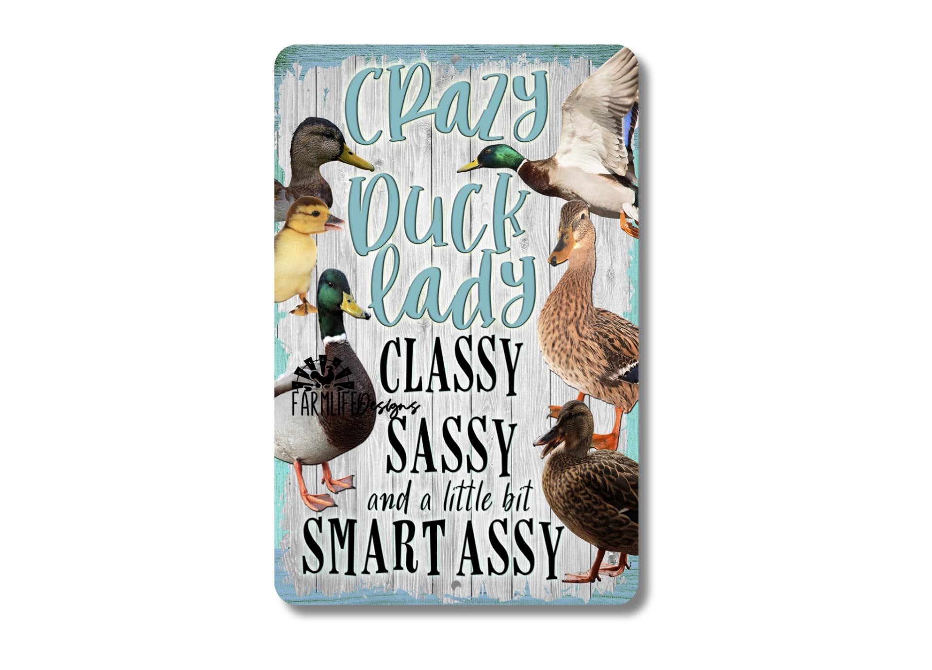 Crazy Duck Lady Sign, Duck Lover Gift, Gift for Duck Mom, Metal Duck ...