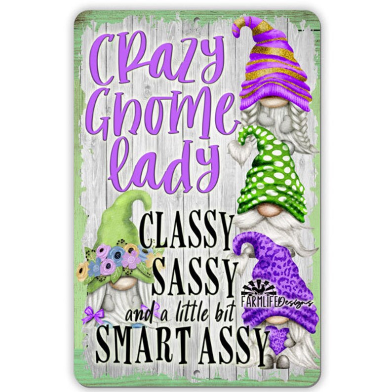 Crazy Gnome Lady Sign Classy Sassy Smart Assy Handmade - Etsy