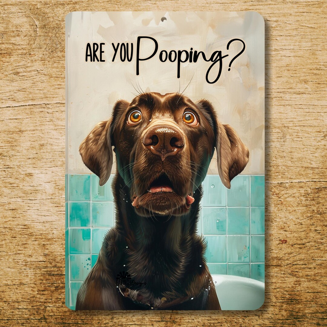 Chocolate Lab Sign, Are You Pooping, Funny Dog Metal Bathroom Tin Wall ...