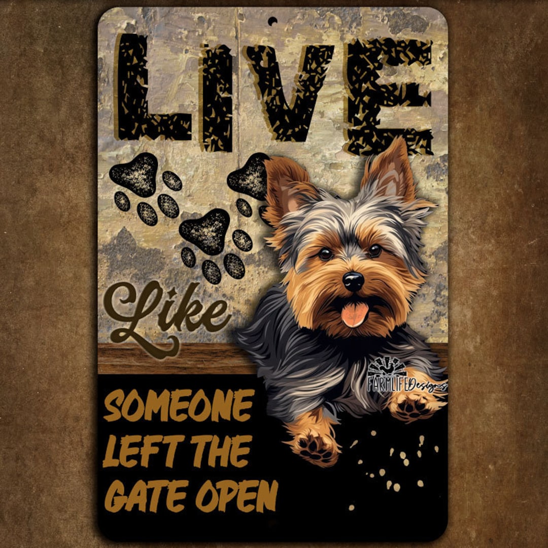 Yorkie Sign, Live Like Someone Left Gate Open or Door Open, Dog Decor ...