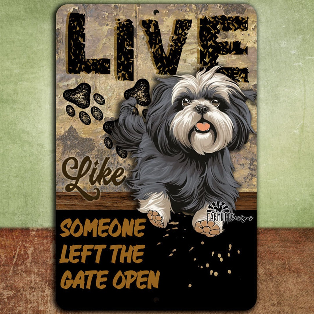 Lhasa Apso Sign, Live Like Someone Left Gate Open (or Door Open), Dog ...