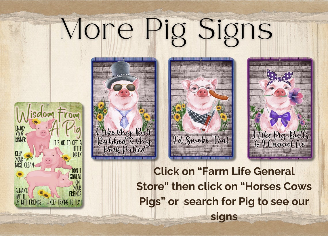 Pig Lady Sign, Crazy Pig Lady Gift, Gift for Pig Lover, Pig Metal Sign ...