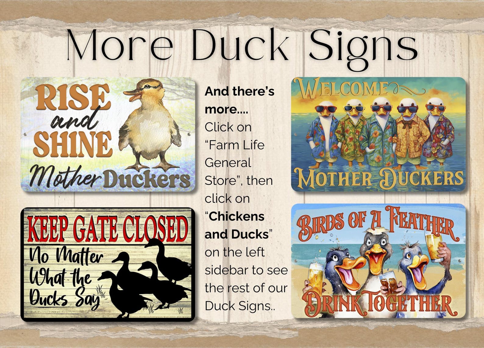 Crazy Duck Lady Sign, Duck Lover Gift, Gift for Duck Mom, Metal Duck ...