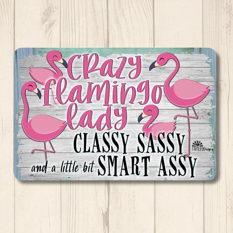 Crazy Flamingo Lady Decor - Etsy
