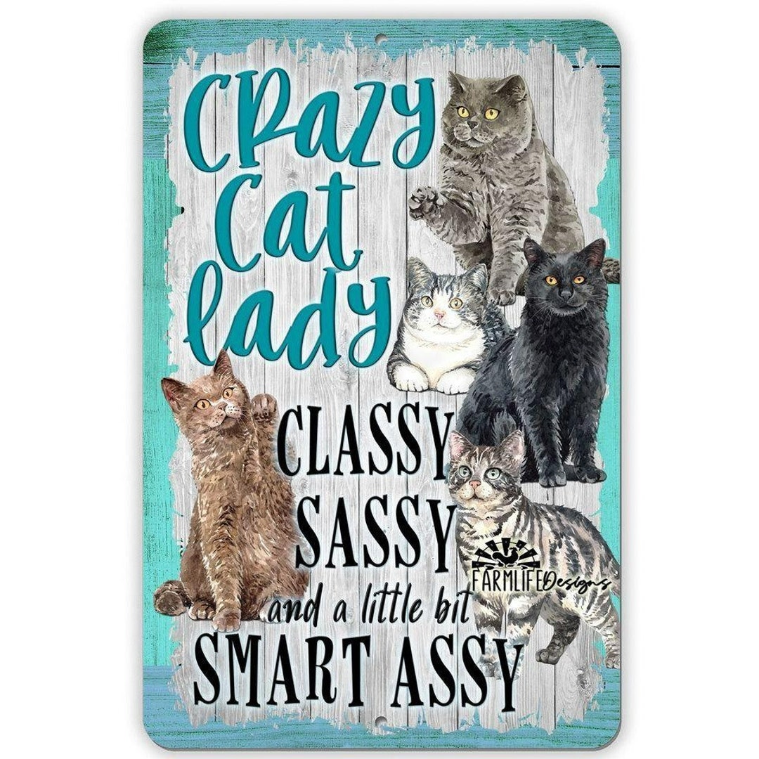 Crazy Cat Lady Sign - Classy, Sassy.. 8x12, Cat Lover Gift, Aluminum ...