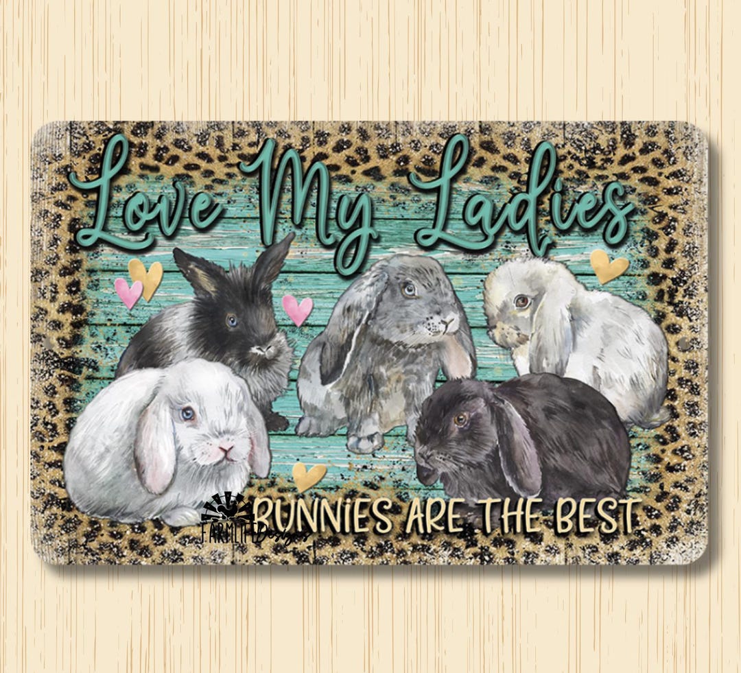 Rabbit Sign, Barn Sign, Love My Ladies, Bunnies, Bunny, Rabbits Leopard ...