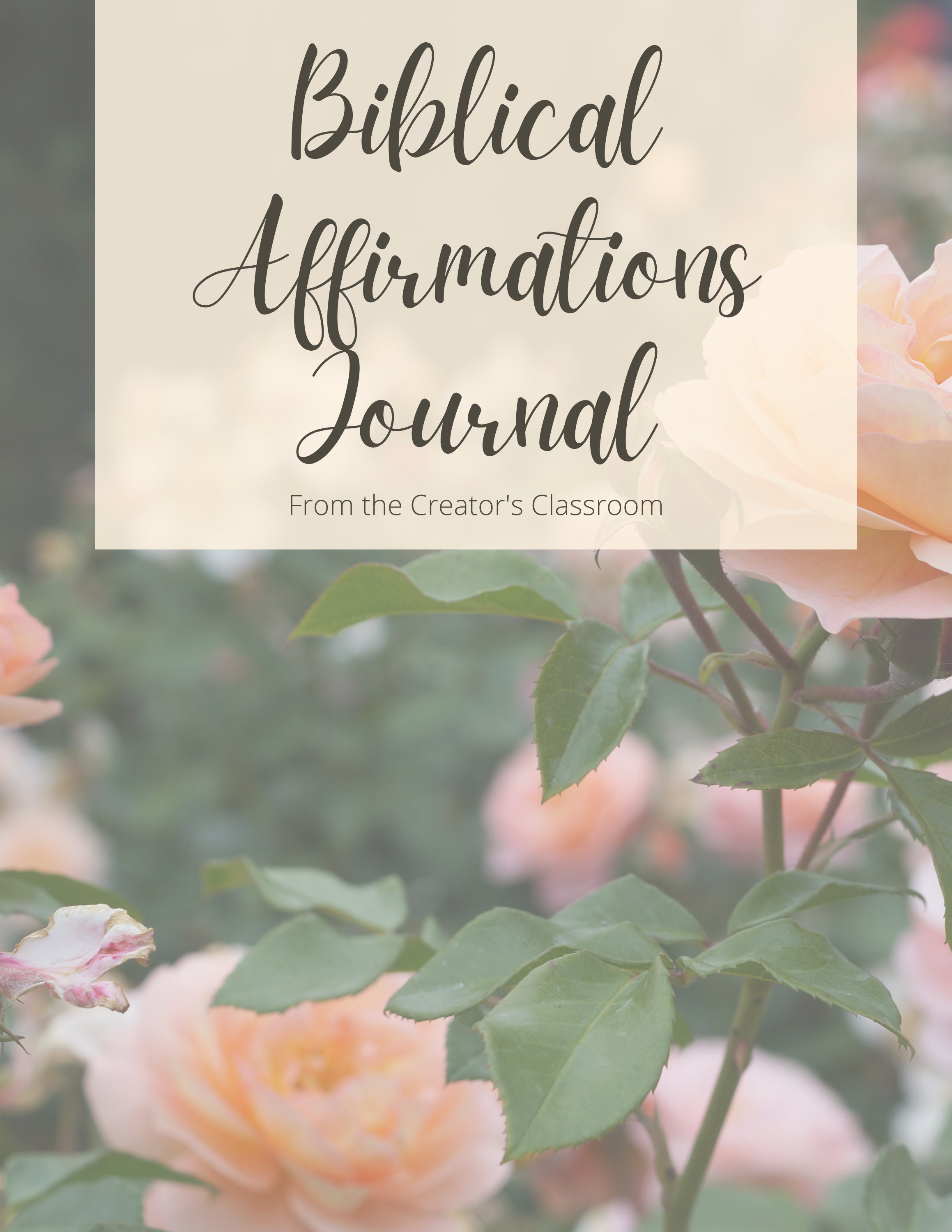 Biblical Affirmations Journal |bible Reading Plan |bible Study Journal ...