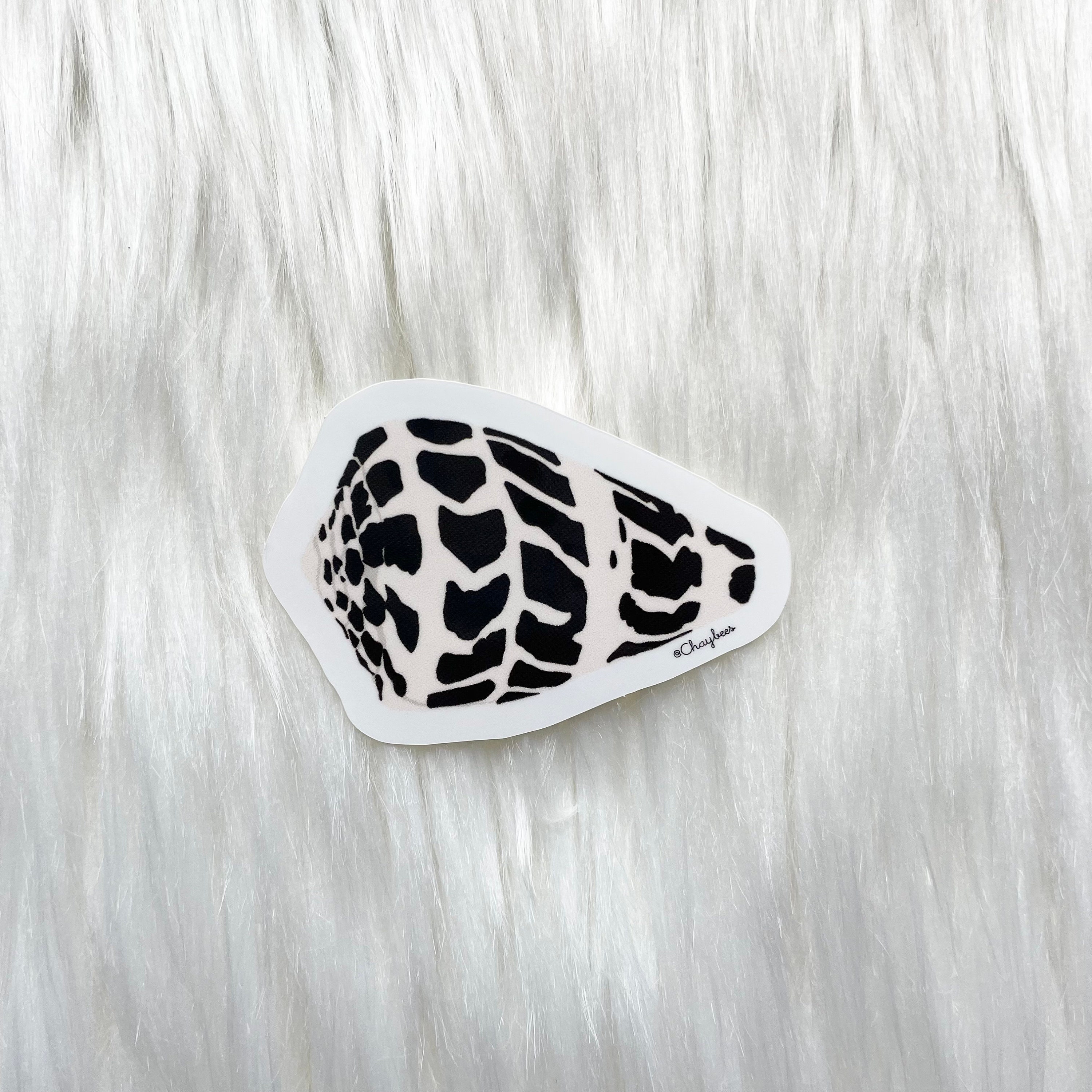 Chaybees Hawaiian Hebrew Cone Shell Glossy Vinyl Sticker 2.5 X 1.75 ...