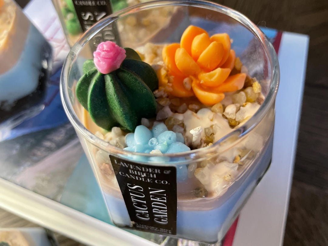 Cactus Garden Soy Candle: Hand-poured Succulent Terrarium Candle - Etsy
