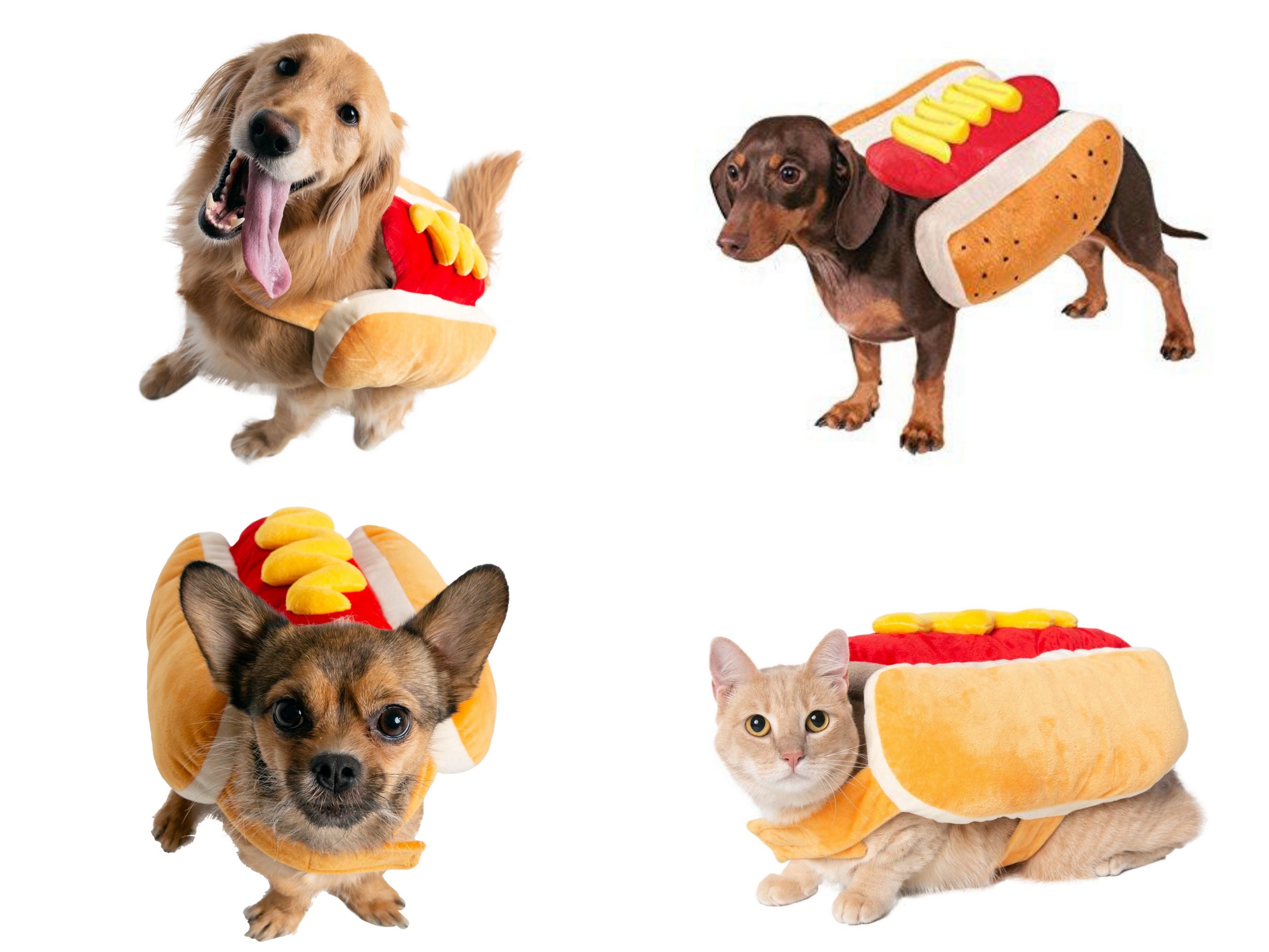 Hot Dog Costume For Dogs