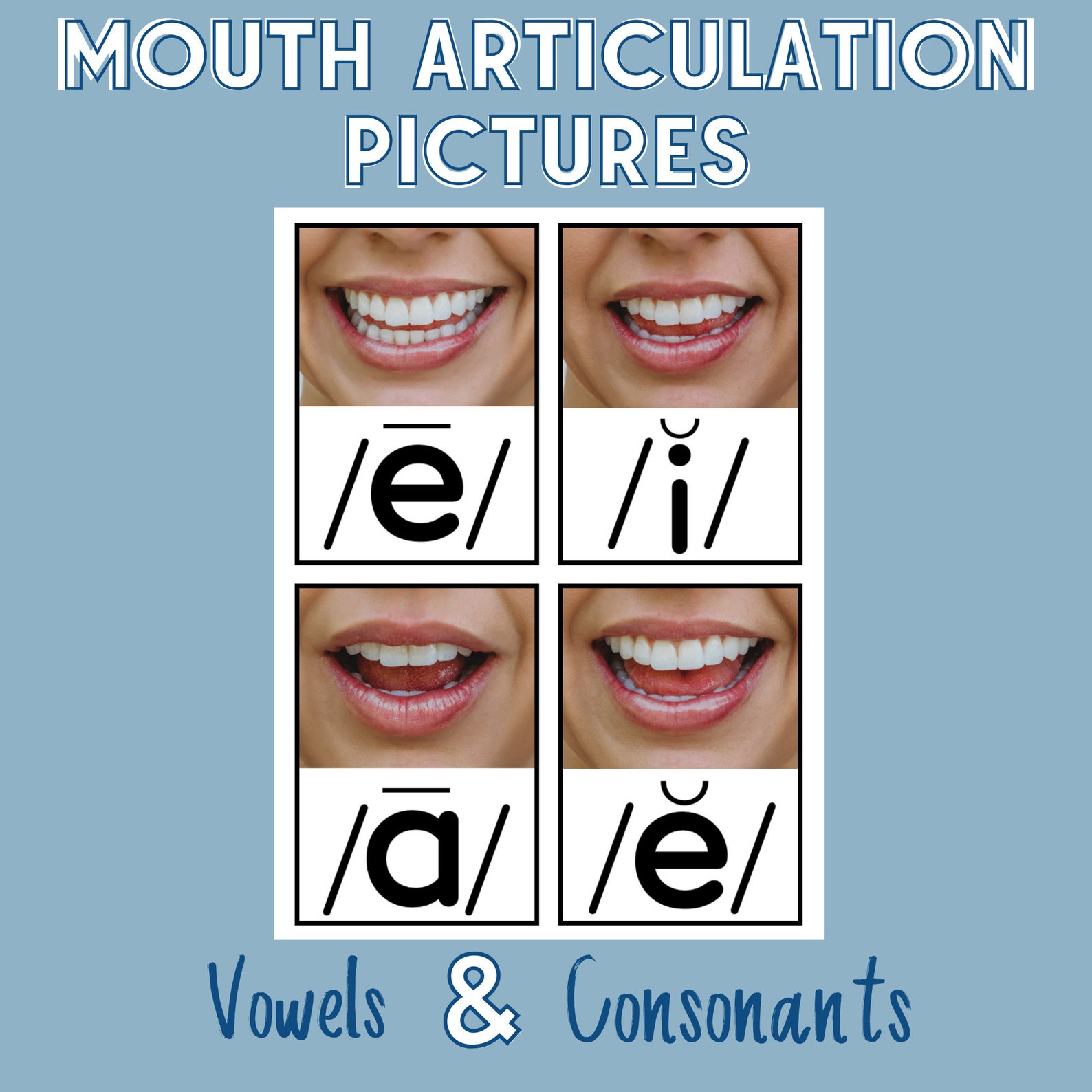 Sound Wall Bundle - Vowels and Consonants - Etsy