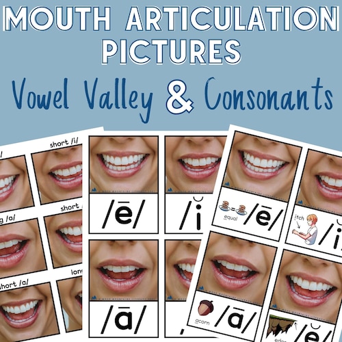 Sound Wall Mouth Picture Cards Science of Reading - Etsy