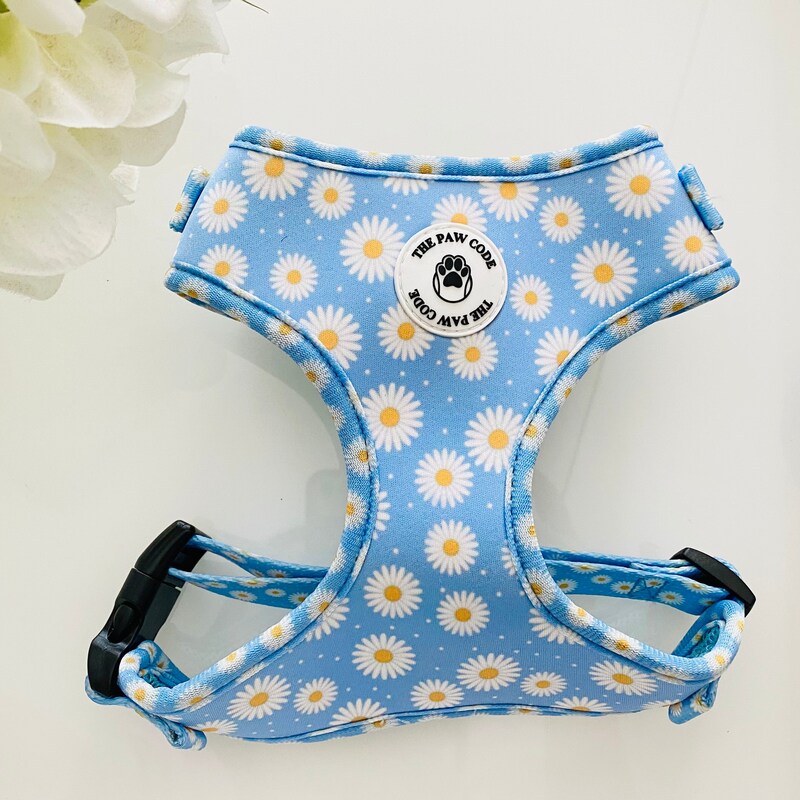 Cat Harness Pattern - Etsy