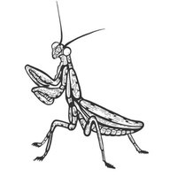 Orange/ Fruit Cinch Bag - Etsy