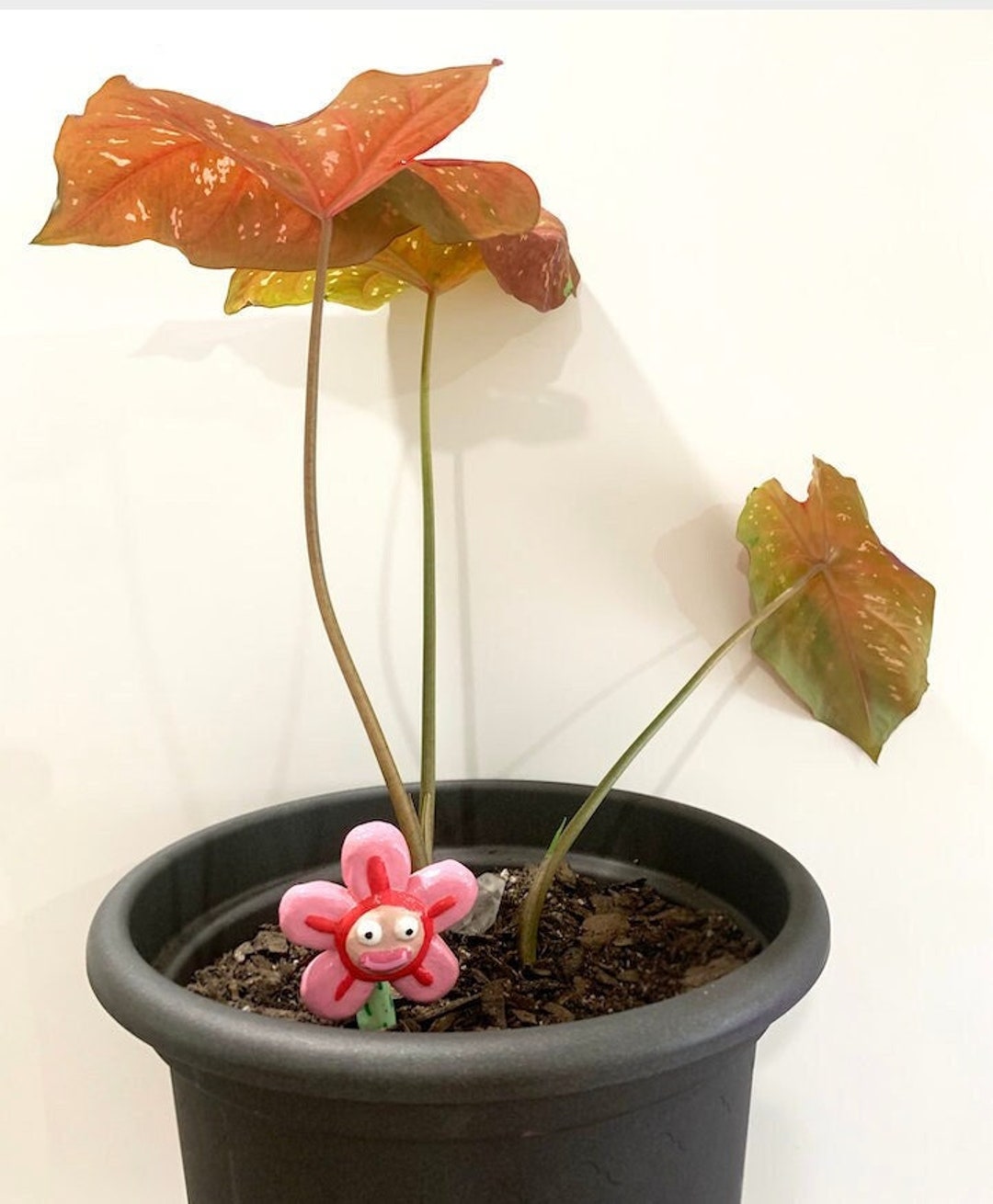 Plant Buddy Flower Clay Figurine Flower Plant Friend Gift - Etsy
