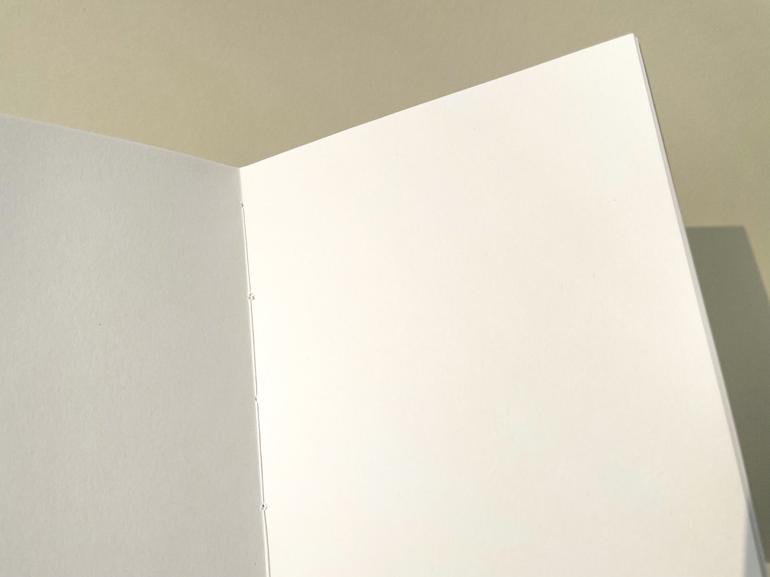 A5 Kraft Notebook | 140gsm Plain Paper | Endangered Bird and Insect ...