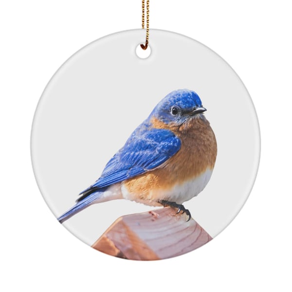 Bluebird Ornaments - Etsy