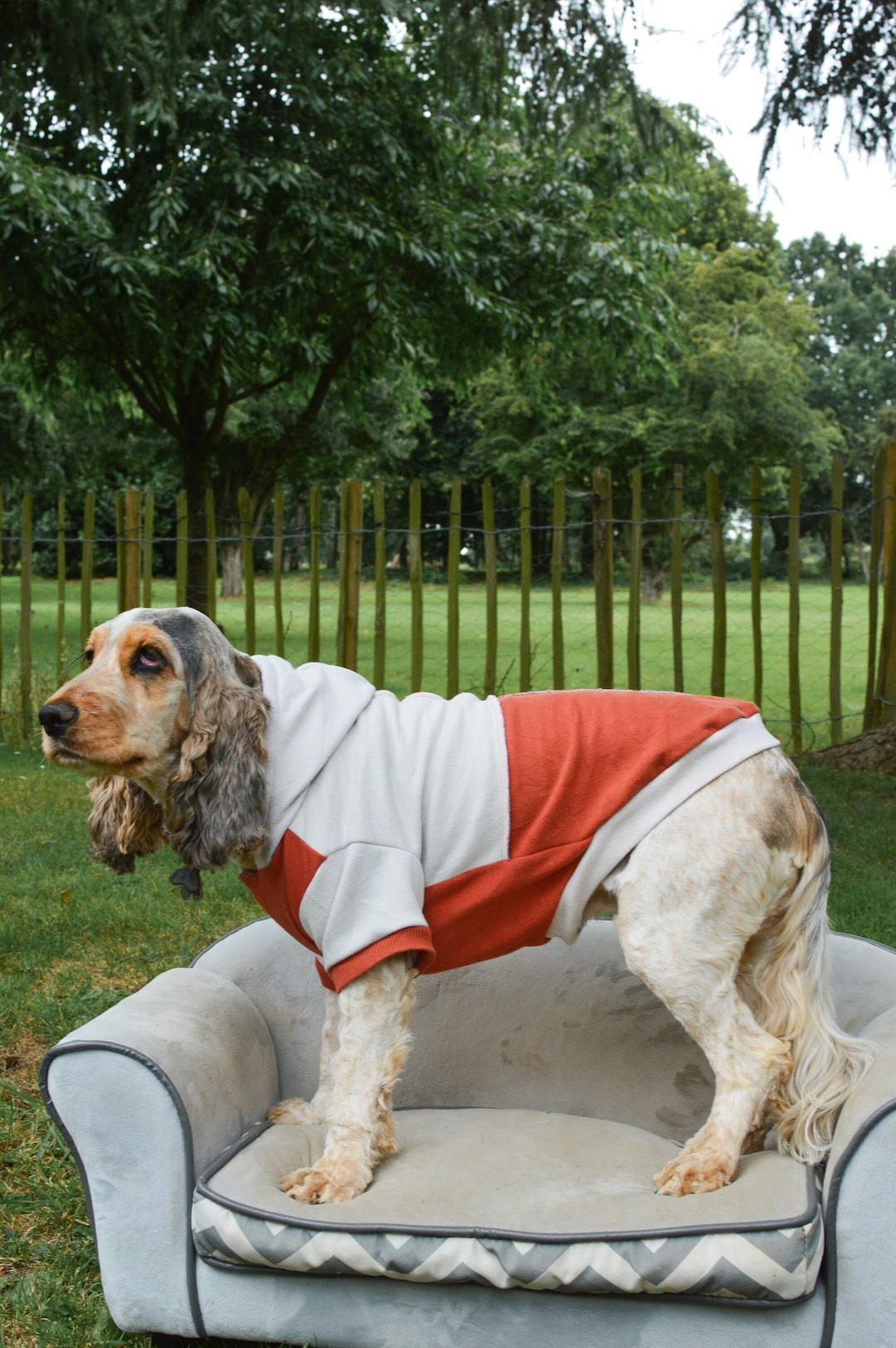 Patchwork Dog Hoodie Size Medium Beige Rust Cocker Spaniel Jumper One ...