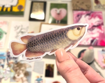 Freshwater Fish Decal - Etsy