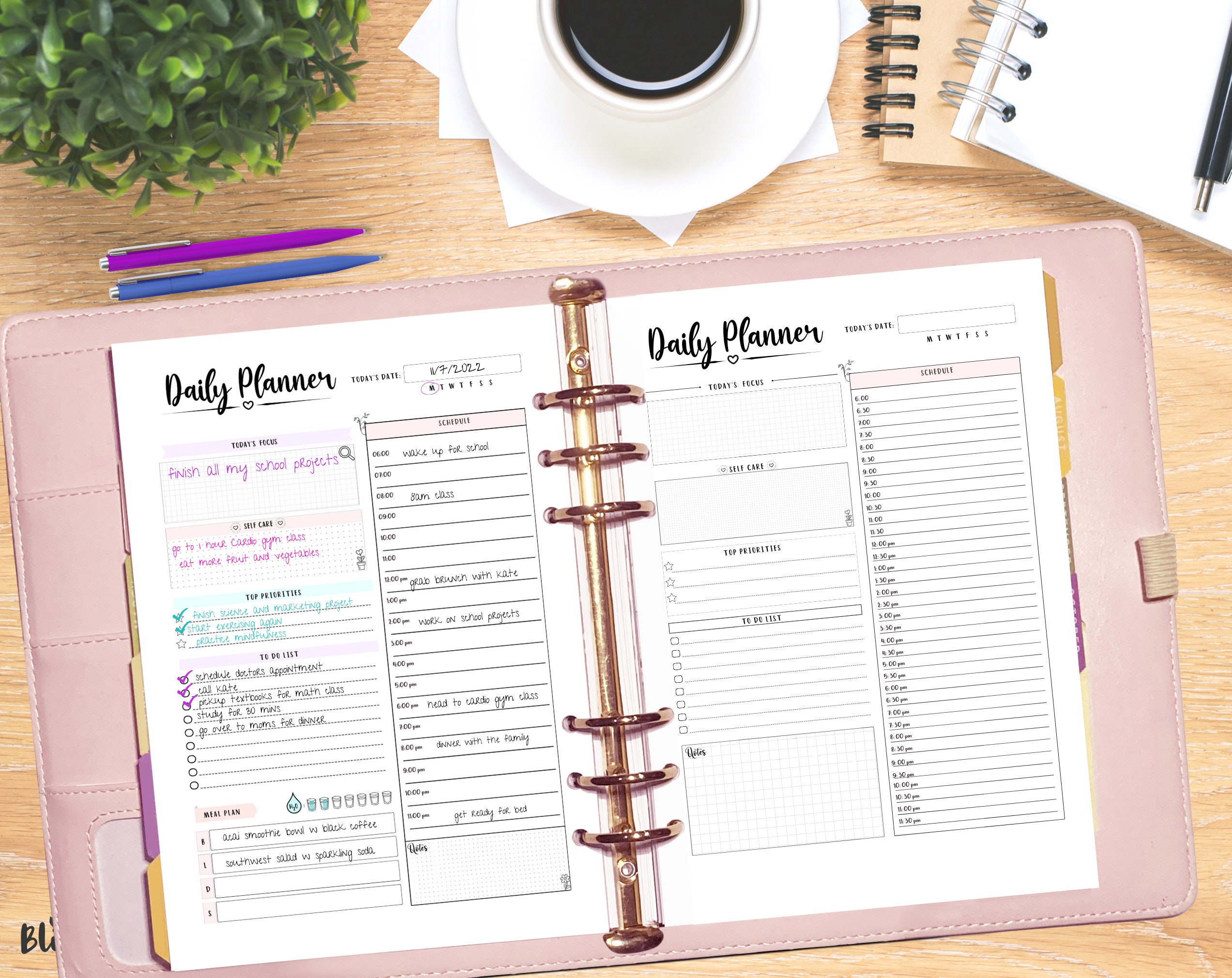 Hourly Half Hour Daily Printable Planner Daily Agenda - Etsy