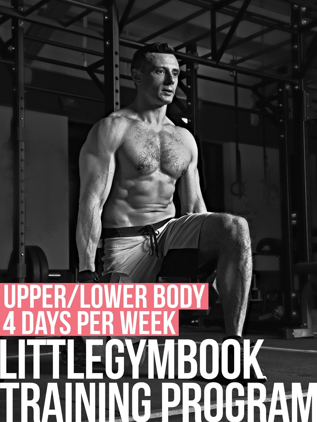 Upper/lower Body 12 Week Exercise Program - Etsy