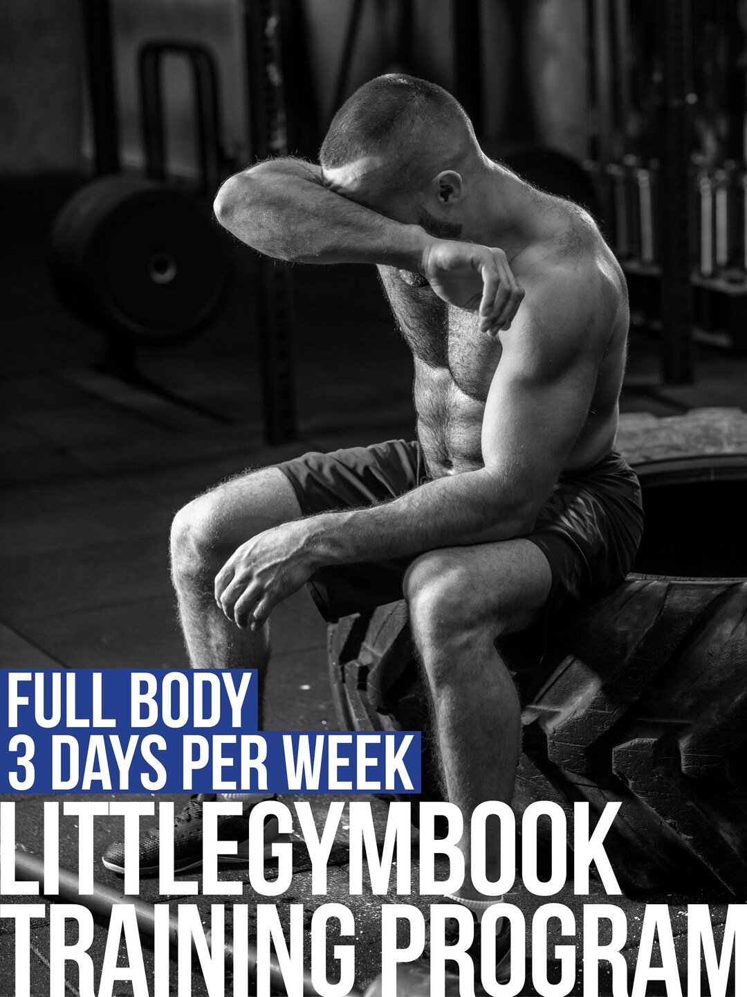 Full Body 12 Week Exercise Program - Etsy