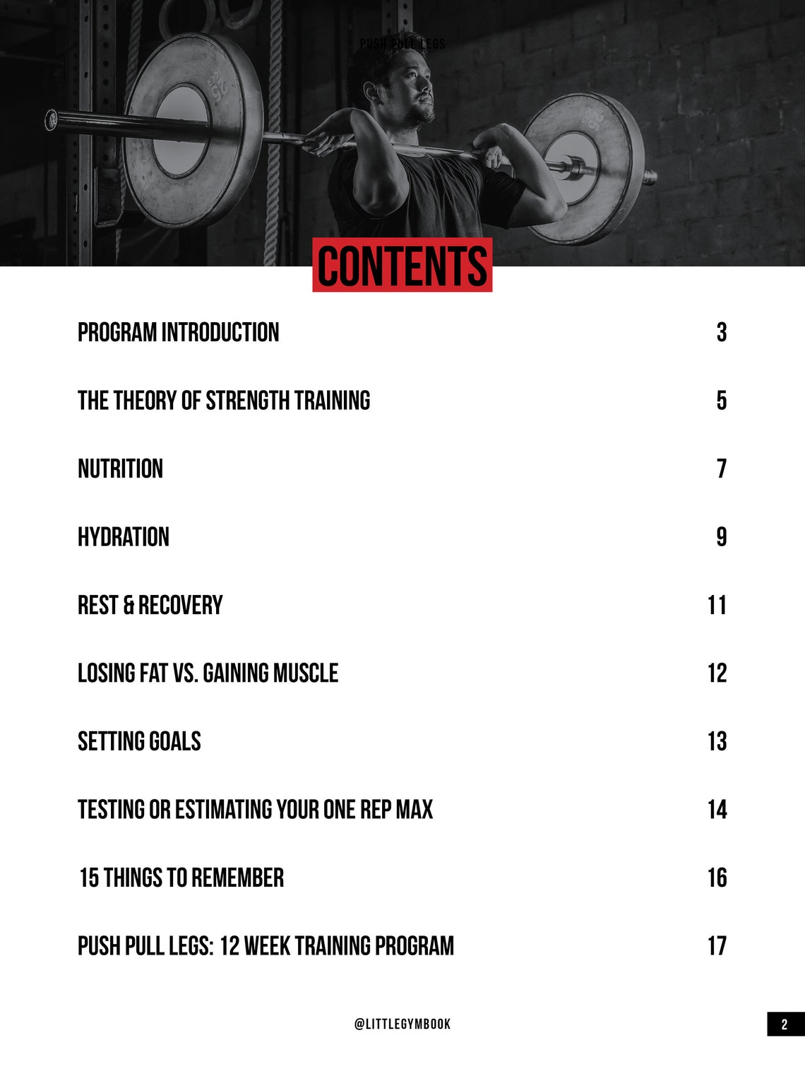 Push Pull Legs 12 Week Exercise Program - Etsy