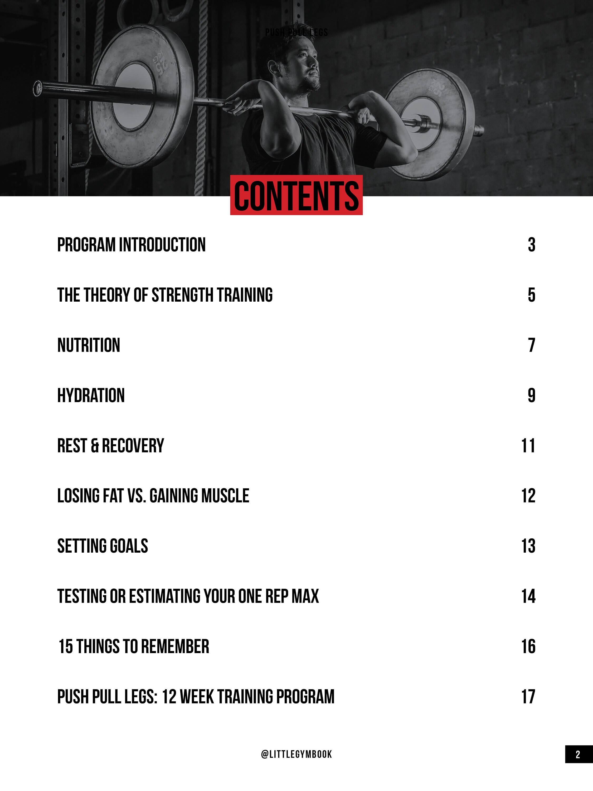 Push Pull Legs 12 Week Exercise Program - Etsy