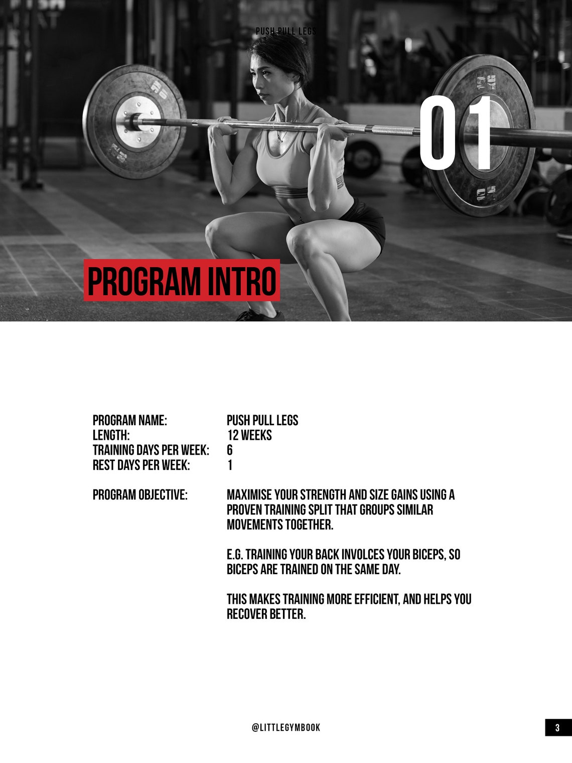 Push Pull Legs 12 Week Exercise Program - Etsy