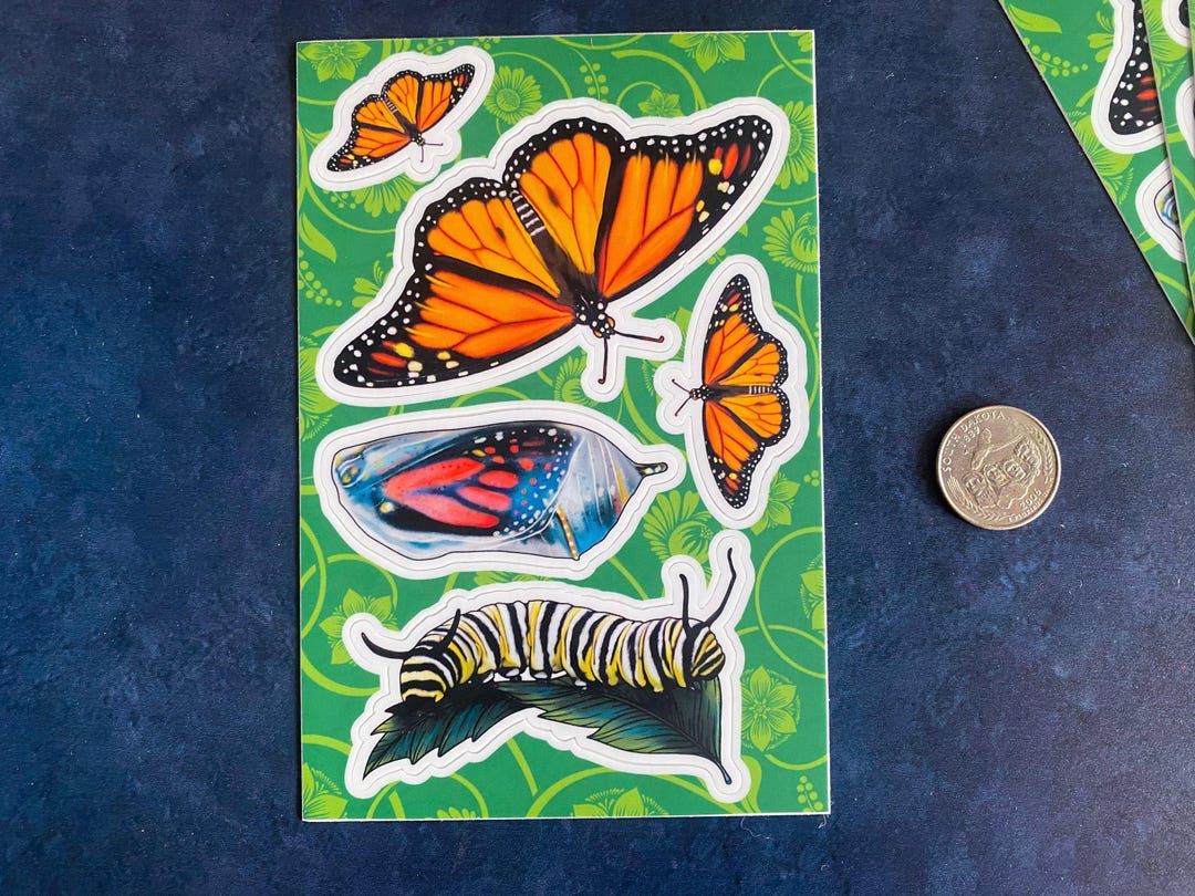 Monarch Life Cycle Vinyl Sticker Sheet, 4x6" Sticker Sheet, Caterpillar ...