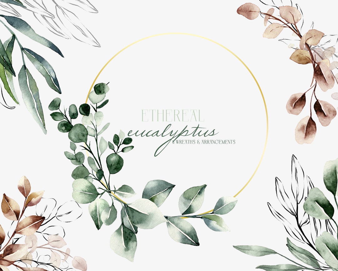 Eucalyptus Watercolor Wreaths, Eucalyptus Frame Clipart, Greenery ...