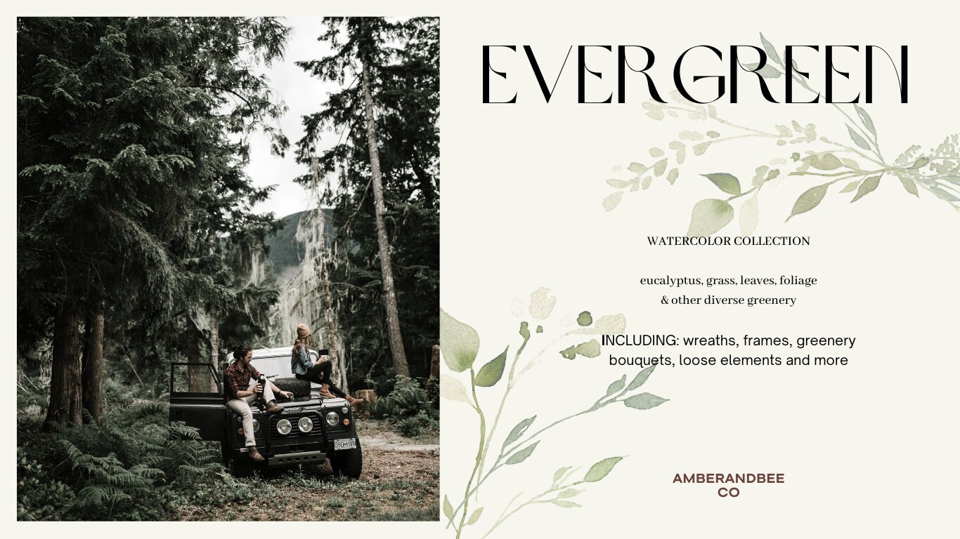 Watercolor Greenery Clipart Watercolor Eucalyptus Clipart - Etsy