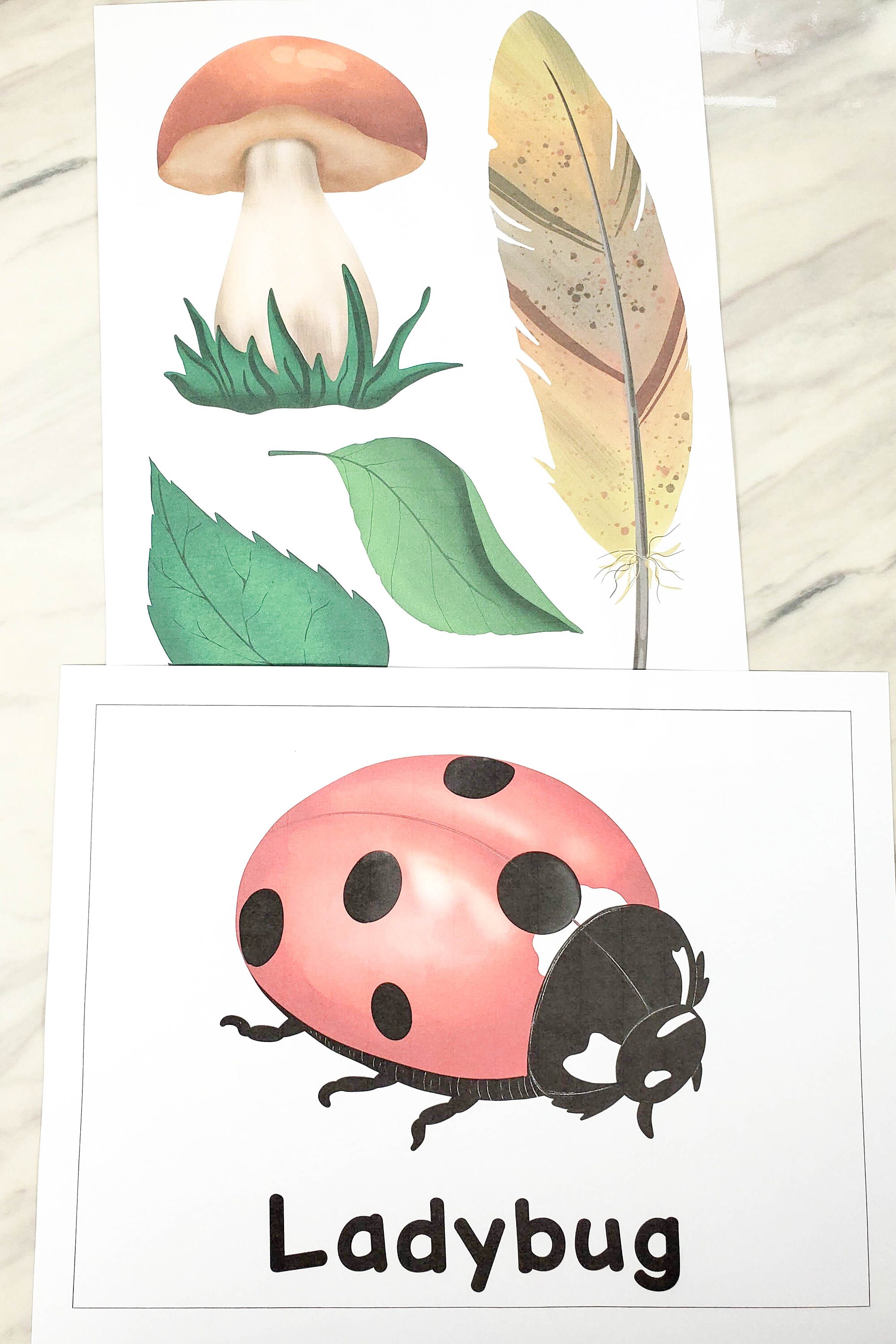 I Spy Nature Walk Kids Activity and Singing Time Review Game Summer ...