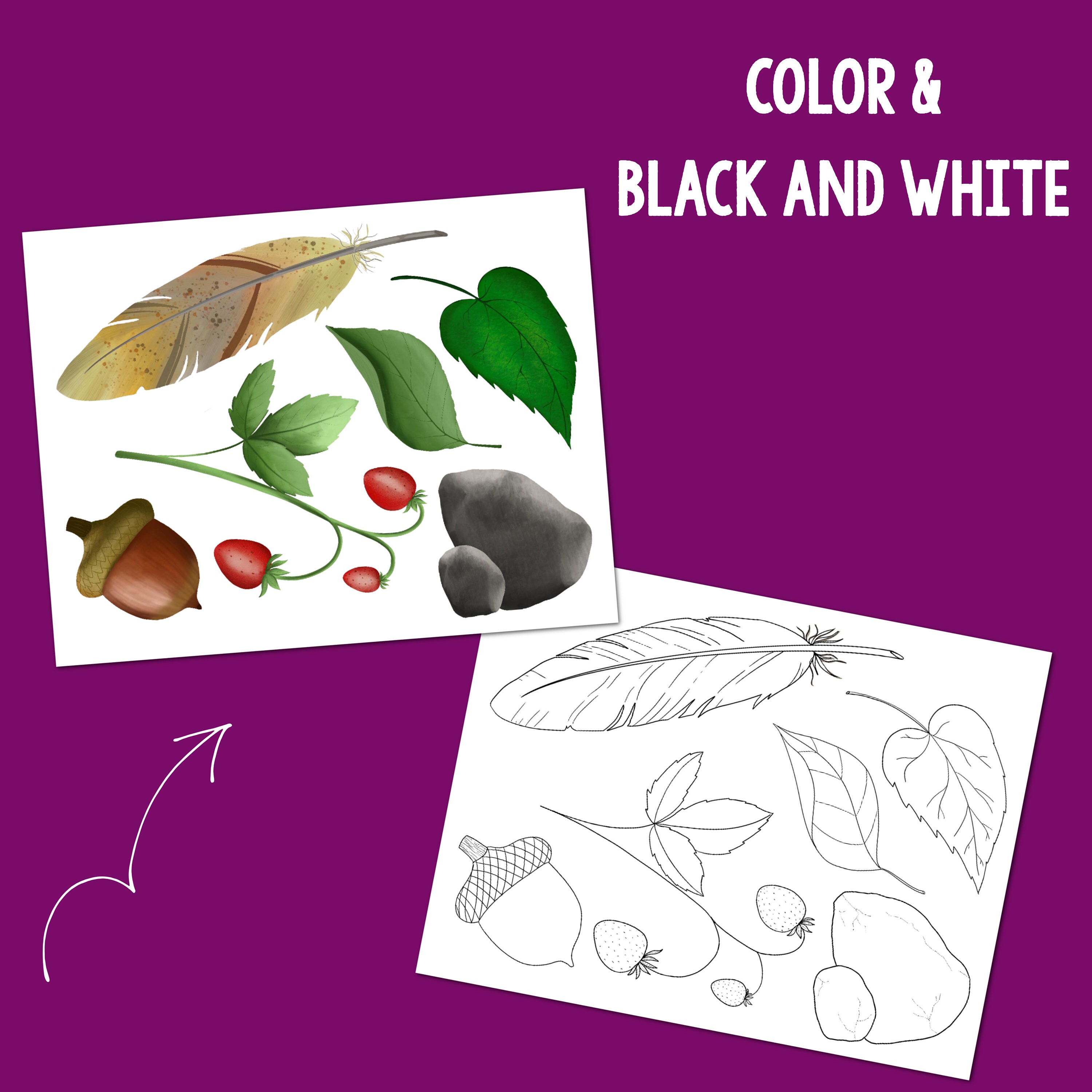 I Spy Nature Walk Kids Activity and Singing Time Review Game Summer ...