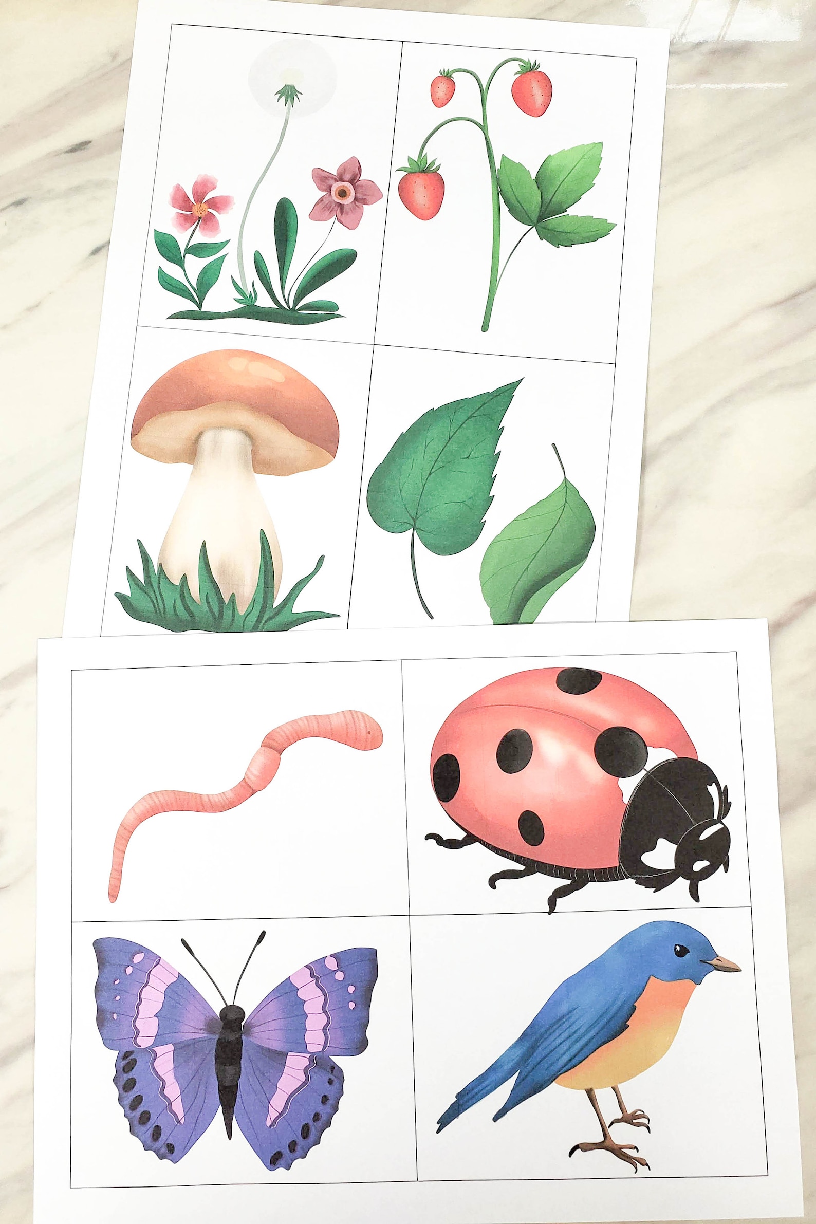 I Spy Nature Walk Kids Activity and Singing Time Review Game Summer ...