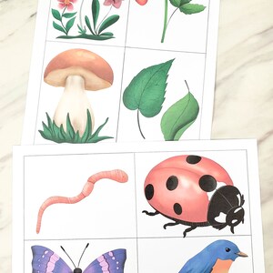 I Spy Nature Walk Kids Activity and Singing Time Review Game Summer ...