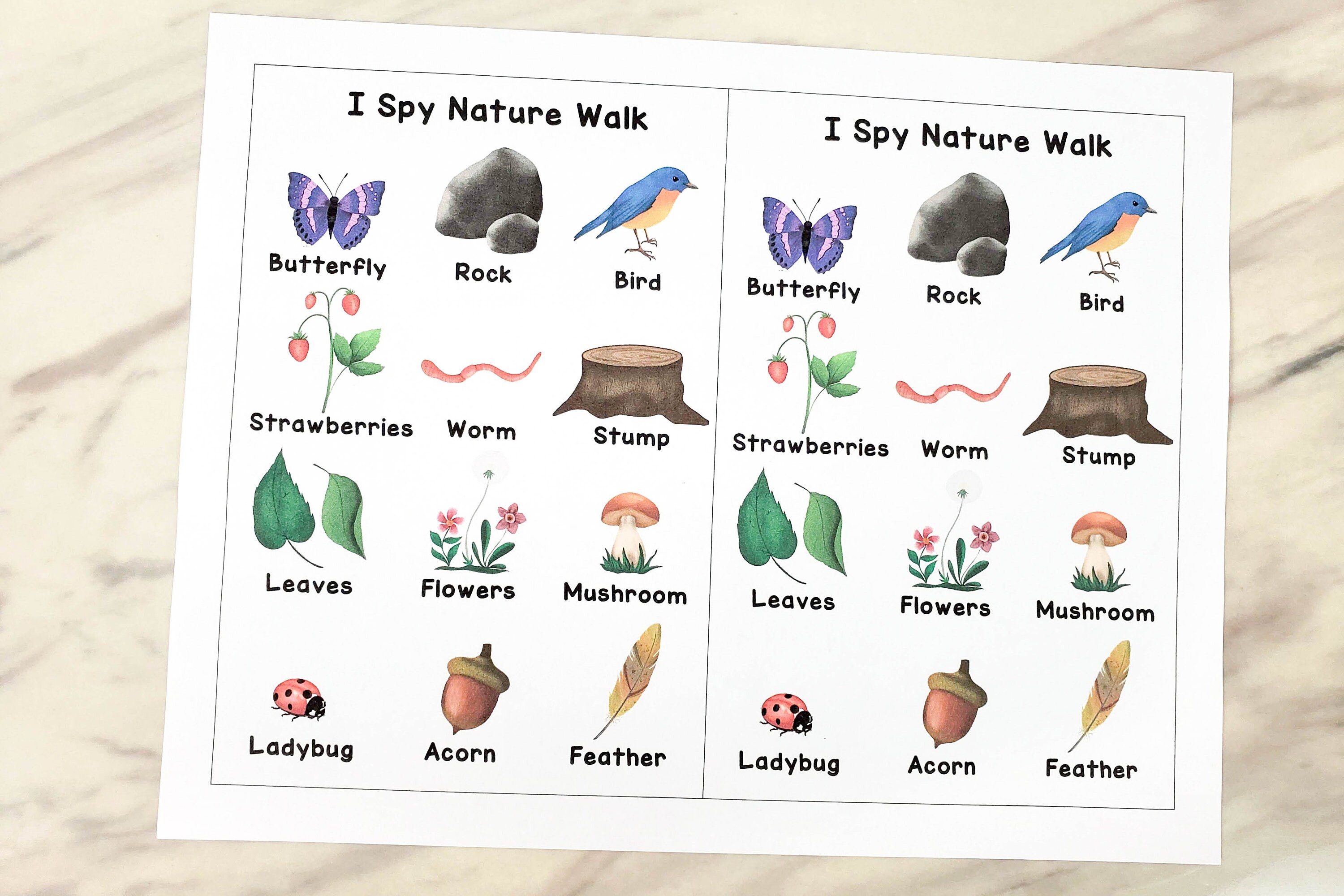 I Spy Nature Walk Kids Activity and Singing Time Review Game Summer ...