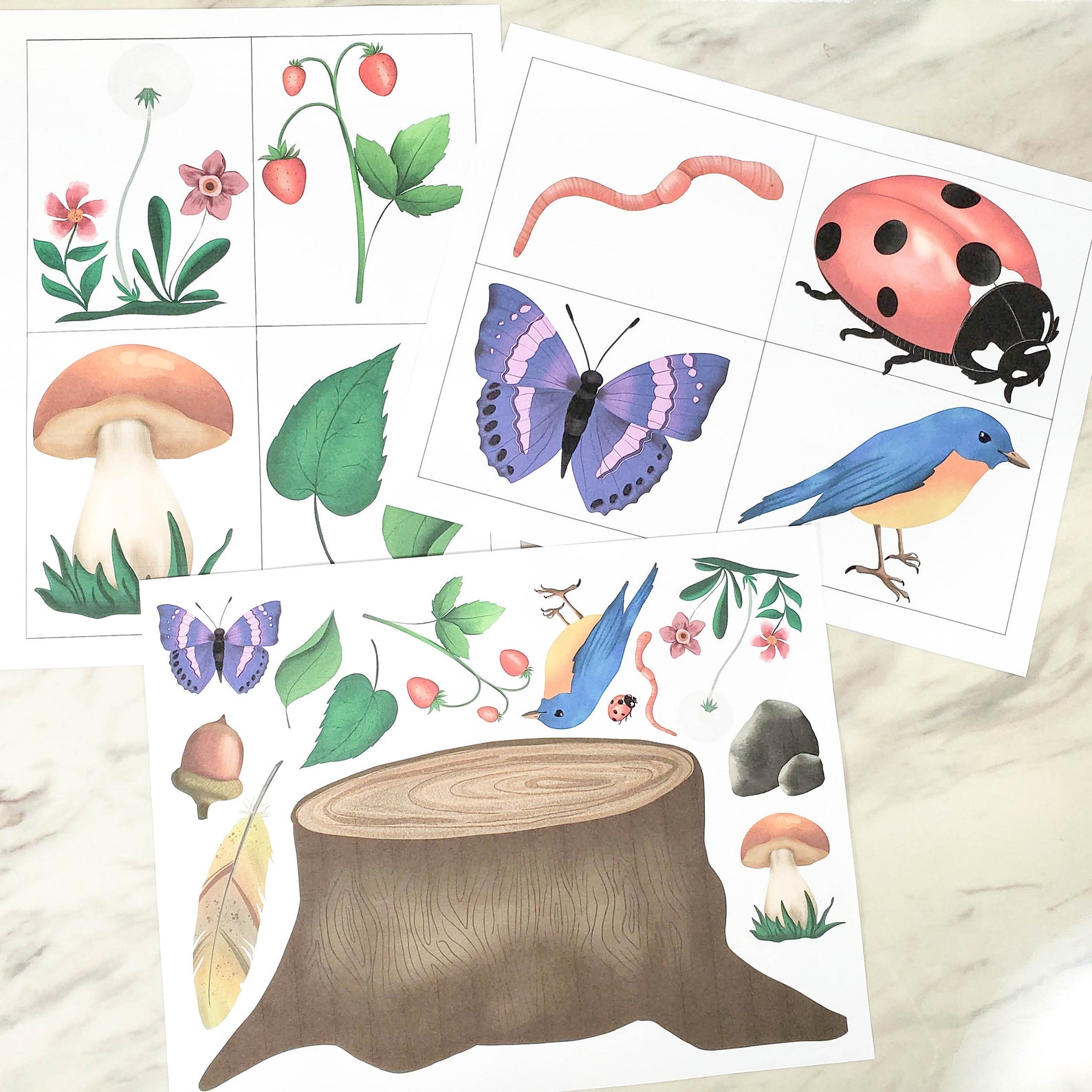 I Spy Nature Walk Kids Activity and Singing Time Review Game Summer ...