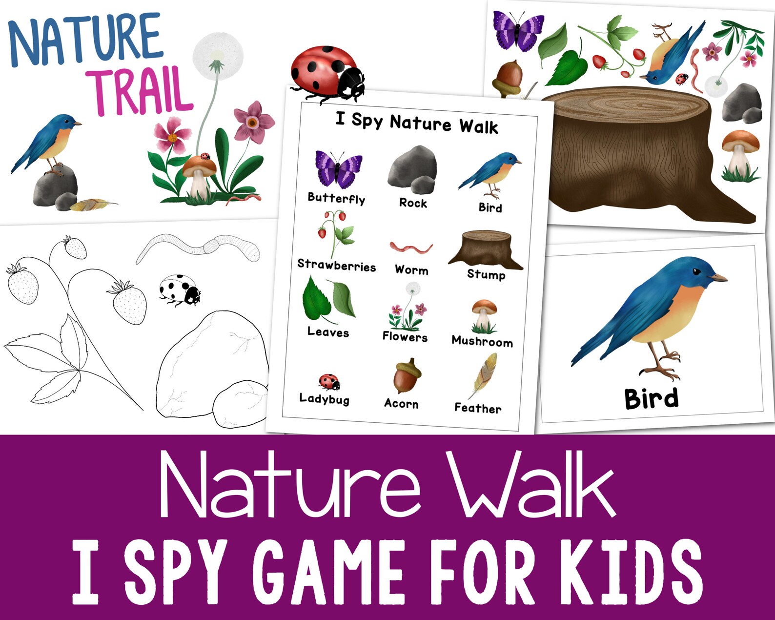 I Spy Nature Walk Kids Activity and Singing Time Review Game Summer ...