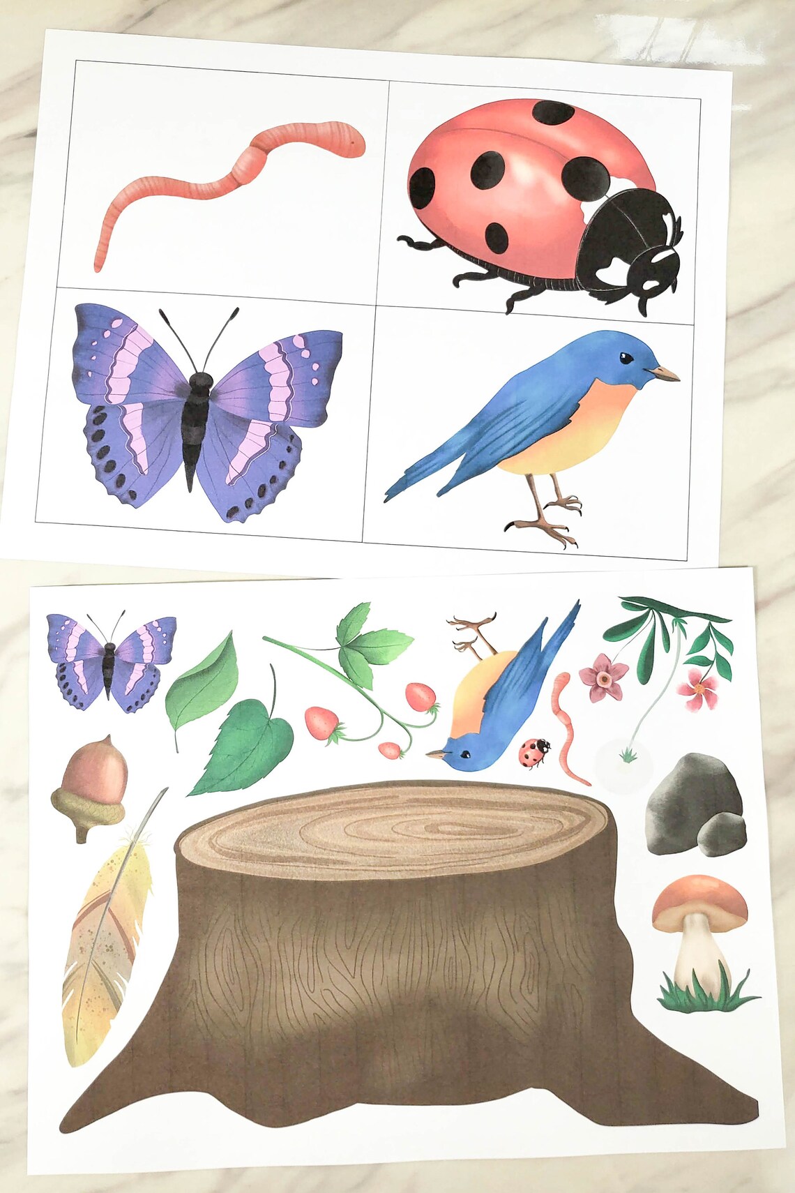 I Spy Nature Walk Kids Activity and Singing Time Review Game Summer ...