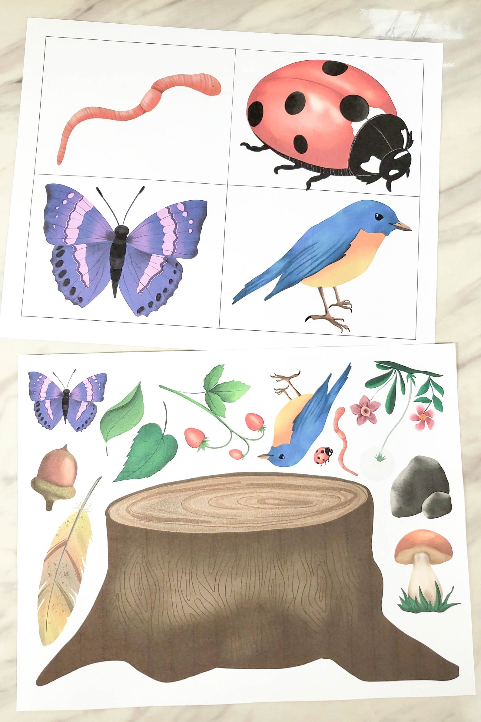 I Spy Nature Walk Kids Activity and Singing Time Review Game Summer ...