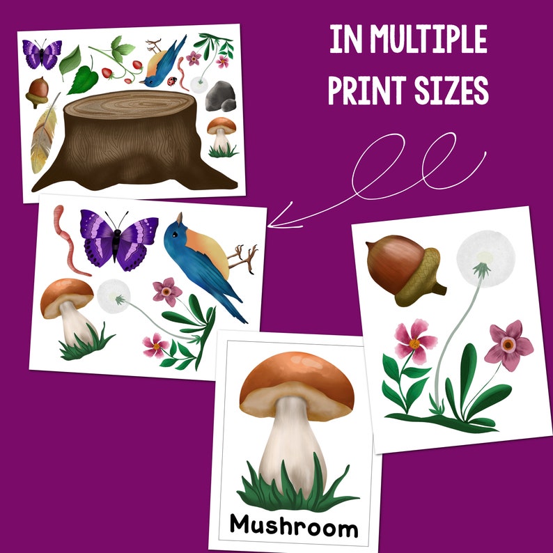 I Spy Nature Walk Kids Activity and Singing Time Review Game Summer ...